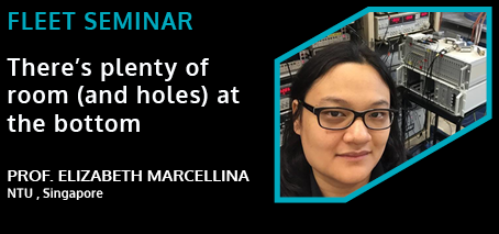 FLEET Seminar: Prof. Elizabeth Marcellina : There’s plenty of room (and holes) at the bottom ...